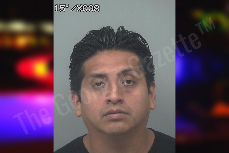 Johnny Meave — Gwinnett County Jail Bookings