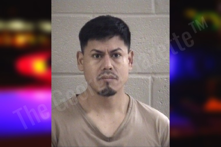 Whitfield County Jail Bookings – The Georgia Gazette