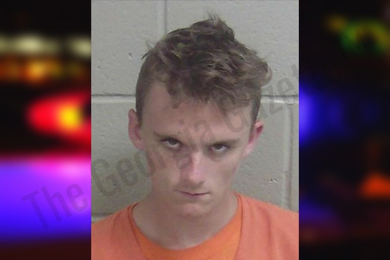 Timothy Merritt — Wayne County Jail Bookings