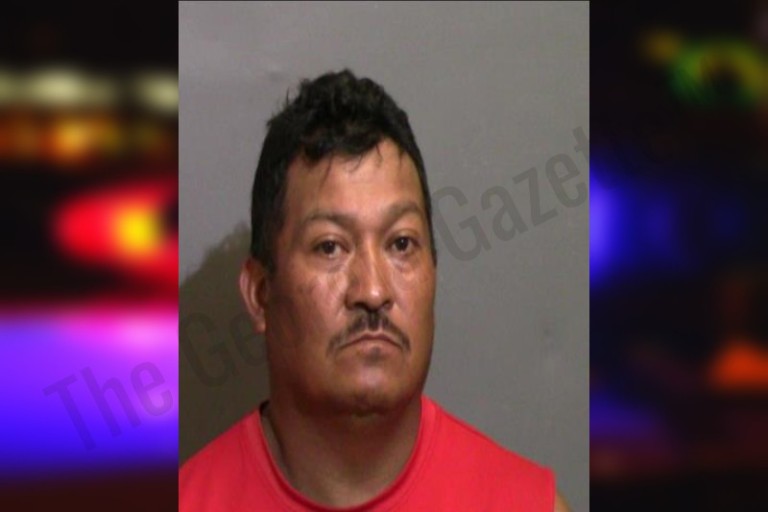 Pedro Meza — Glynn County Jail Bookings