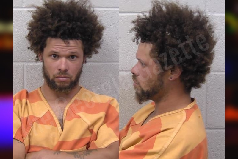 Taylor Mitchell — Paulding County Jail Bookings