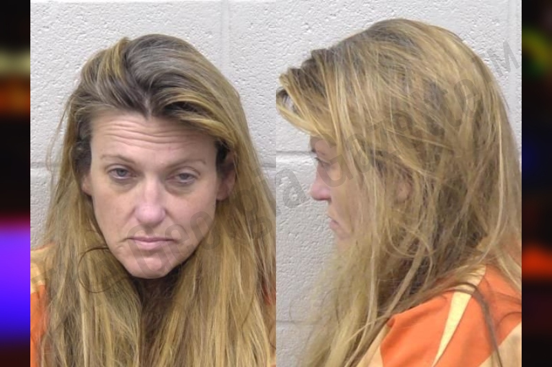 Lisa Mosley — Paulding County Jail Bookings
