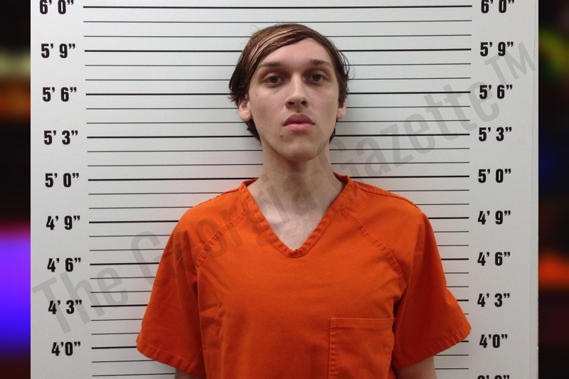 David Mulkey — Pickens County Jail Bookings