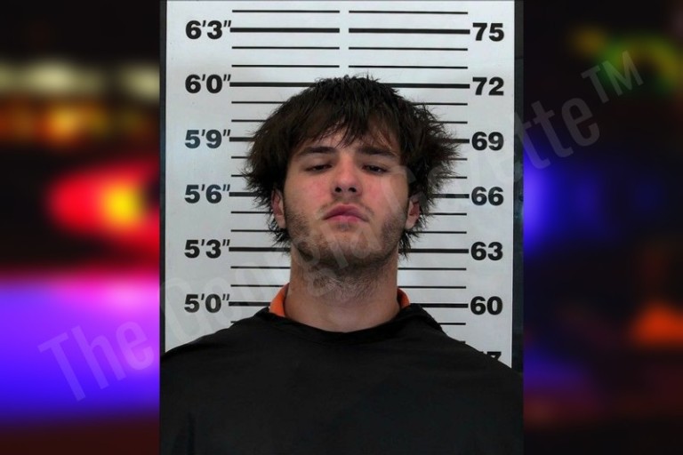 Ethan Newberry — Hart County