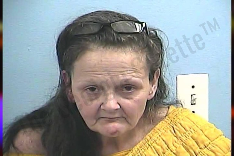 Jennifer Nichols — Dawson County Jail Bookings