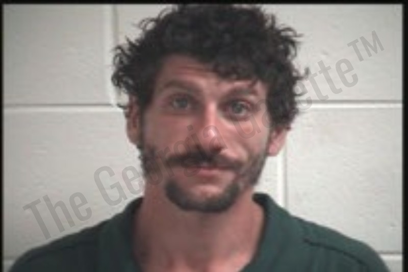 Tyler Norris — Henry County Jail Bookings