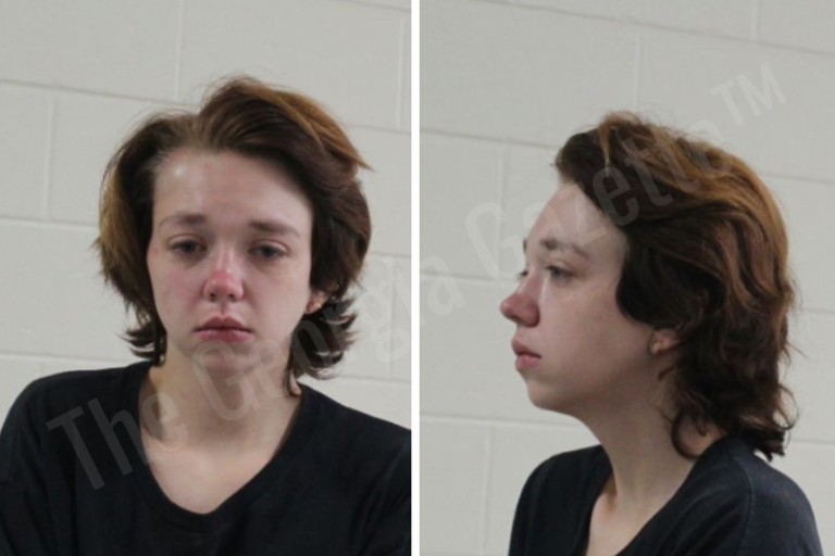 Krista Novinger — Houston County Jail Bookings