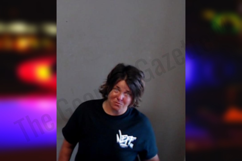 Jessica Ostendorf — DeKalb County Jail Bookings