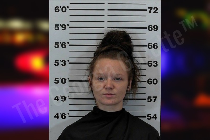 Destiny Outz — Hart County Jail Bookings