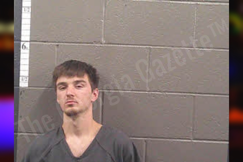 Logan Phillips — Banks County Jail Bookings