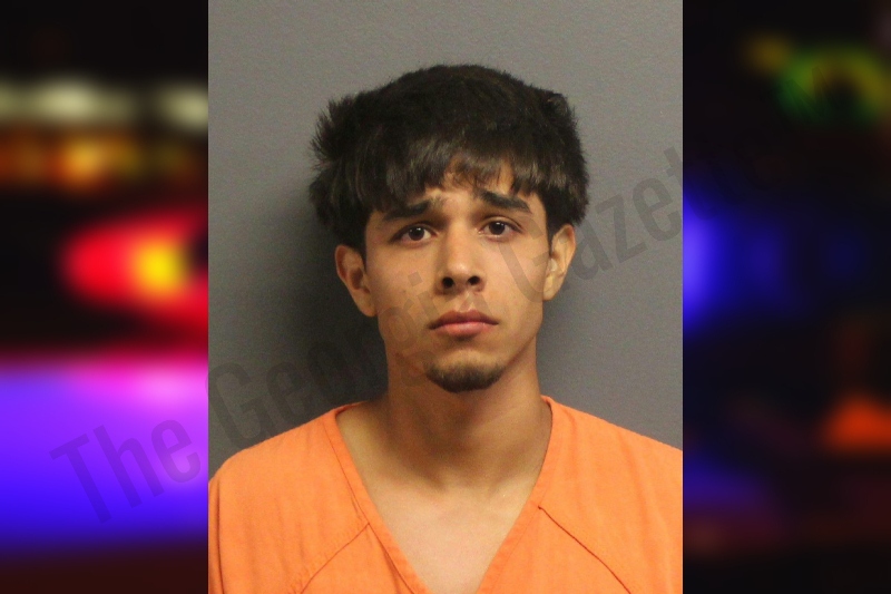 Brandon Palma — Lumpkin County Jail Bookings