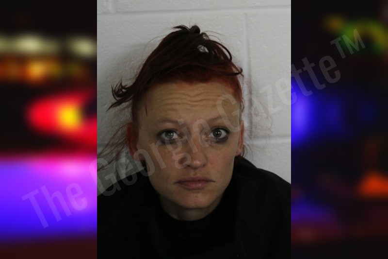 Patsy Payne — Floyd County Jail Bookings