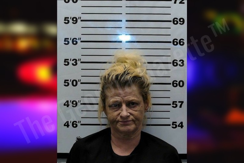 Lisa Phillips — Hart County Jail Bookings