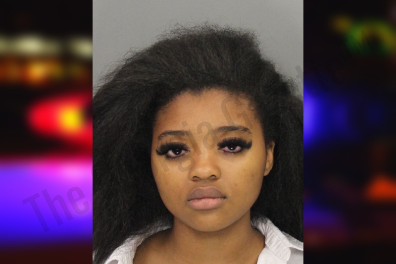 Brooke Reinhardt — Cobb County Jail Bookings