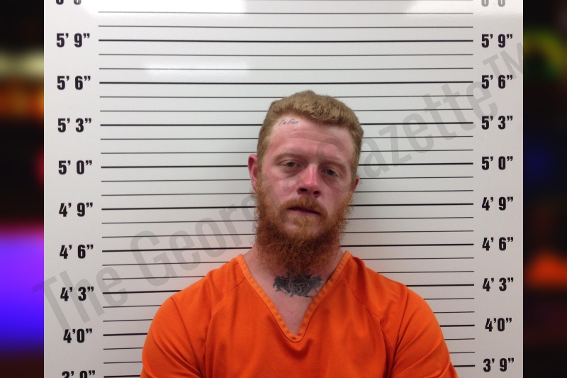Lucas Ray — Pickens County Jail Bookings