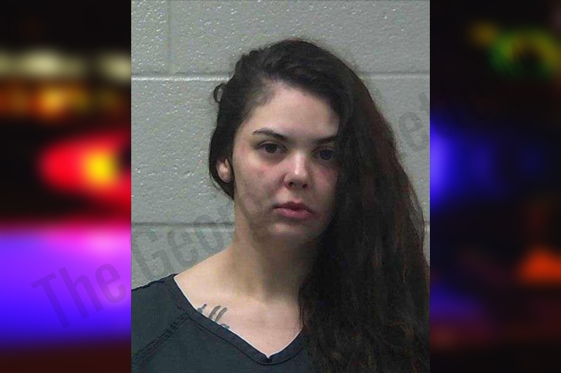 Gabrielle Reed — Gilmer County Jail Bookings
