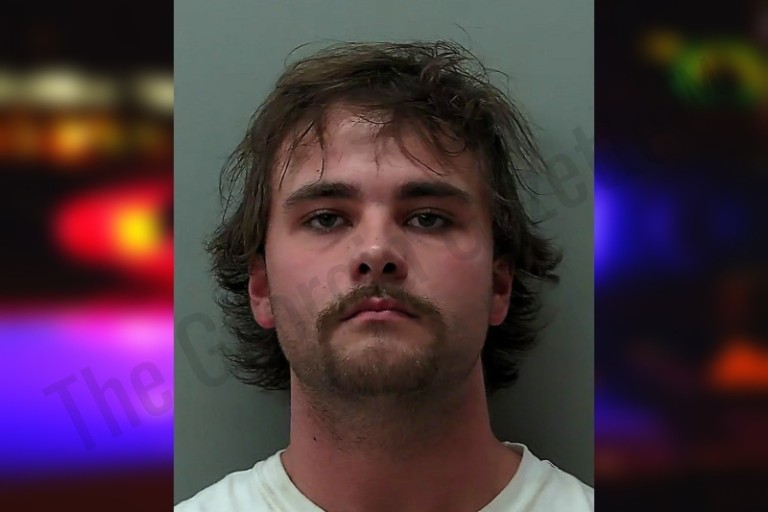 Benjamin Reeves — Towns County Jail Bookings