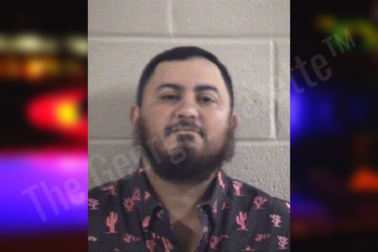 Whitfield County Jail Bookings – The Georgia Gazette