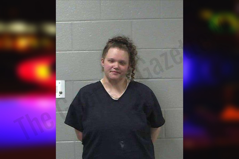 Heather Rudy — Gilmer County Jail Bookings