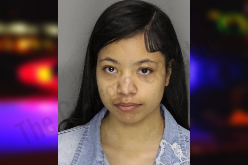 Amanda Shepherd — Cobb County Jail Bookings