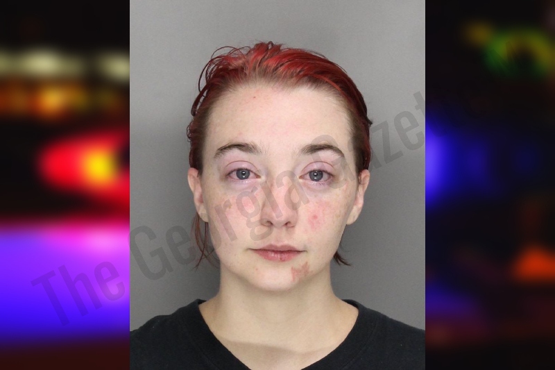 Christina Spinks — Cobb County Jail Bookings