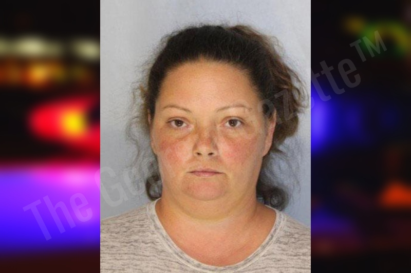 Miranda Stone — Hall County Jail Bookings