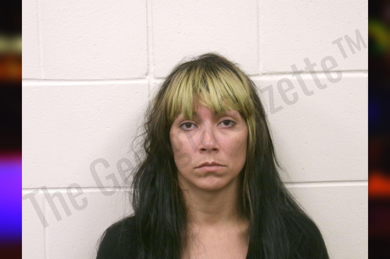 Jennifer Santiago-Ruano — Bulloch County Jail Bookings