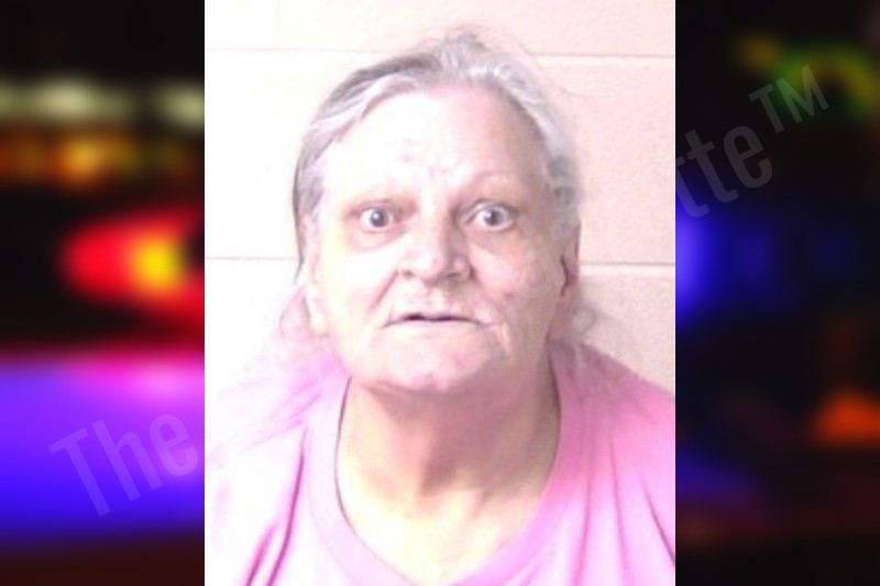 Eva Scott — Walker County Jail Bookings