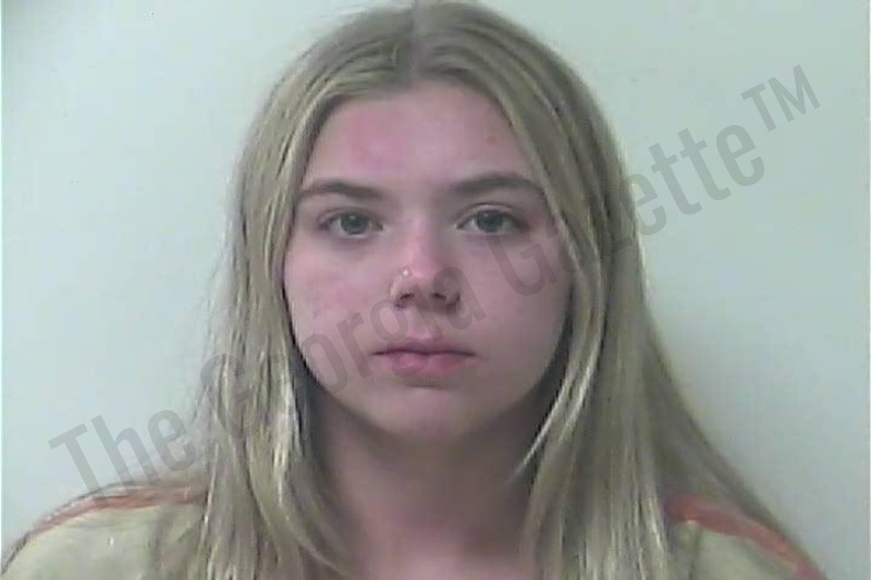 Allison Sheffield — Oconee County Jail Bookings