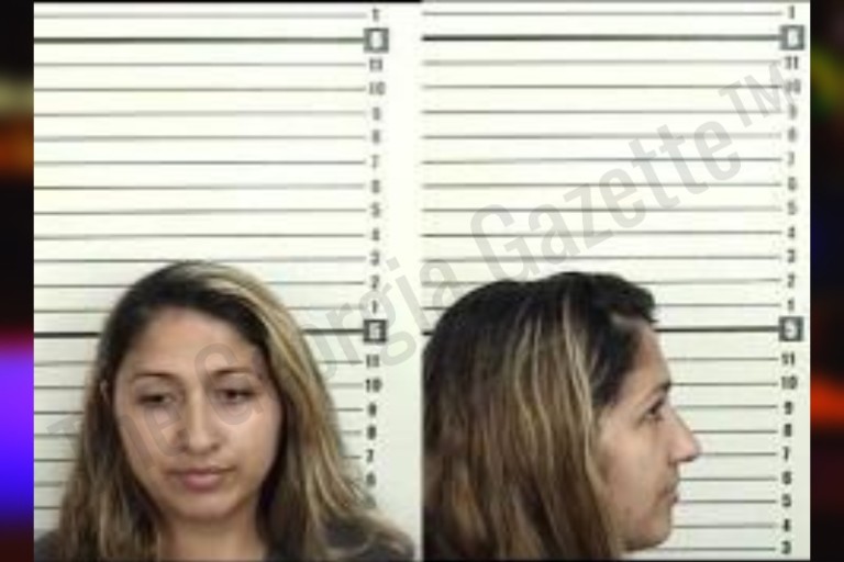 Munira Shirzai — Camden County Jail Bookings