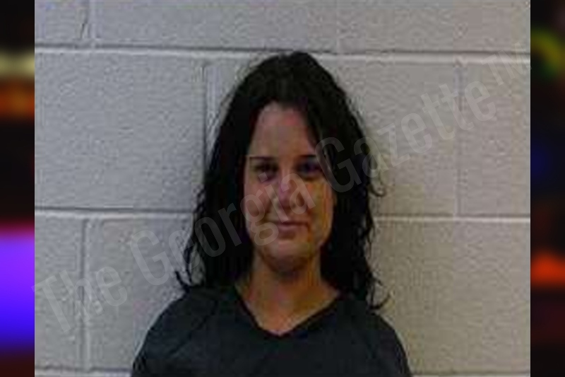 Sarah Smith — Polk County Jail Bookings