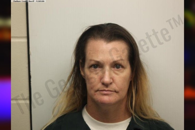 Allison Snider — Chatham County Jail Bookings