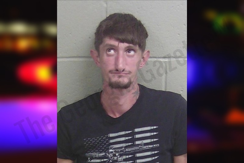 Robert Springer — Wayne County Jail Bookings