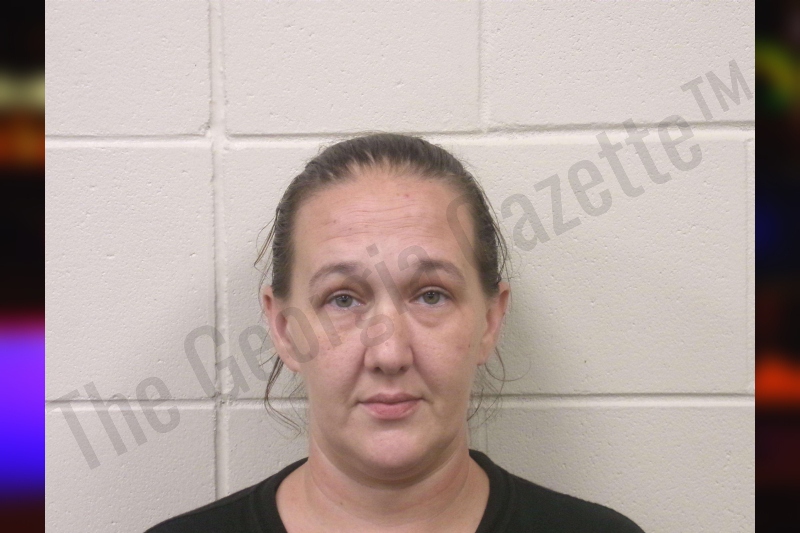 Emily Styles — Bulloch County Jail Bookings