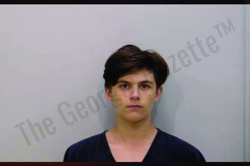 Christopher Swims — Bartow County Jail Bookings