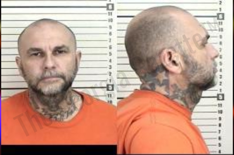 Shannon Tanner — Camden County Jail Bookings