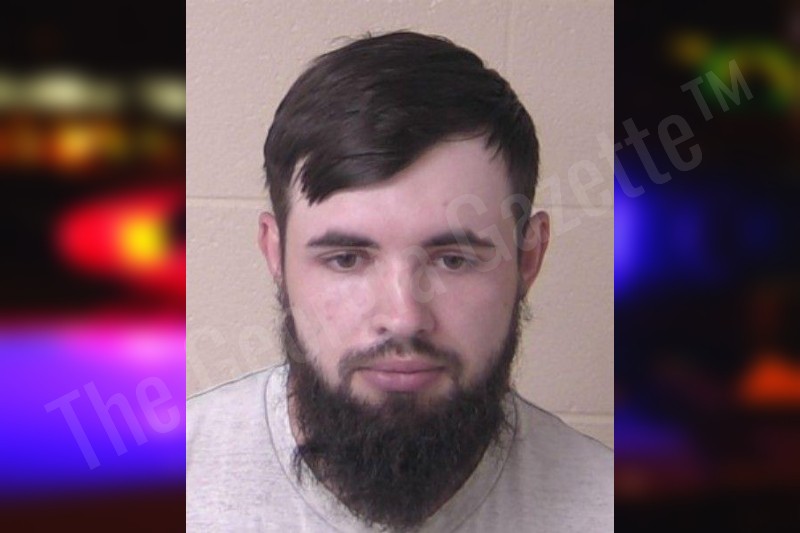 Austin Thompson — Walker County Jail Bookings