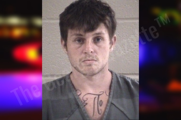 Tyler Trew — Whitfield County Jail Bookings