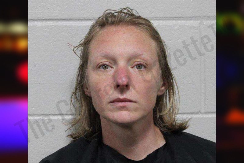 Stephanie Tuggle — Habersham County Jail Bookings