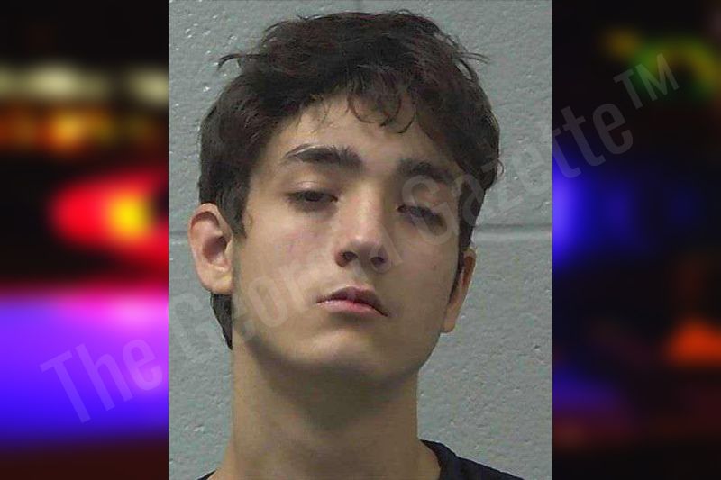 Lane Turner — Gilmer County Jail Bookings