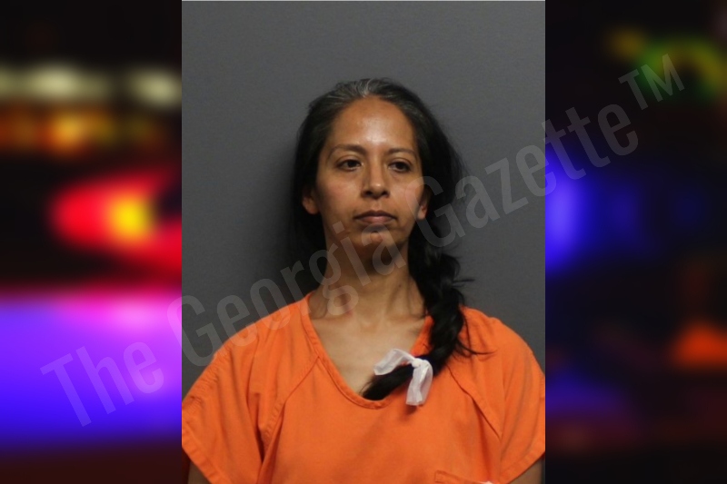 Virginia Valdera — Lumpkin County Jail Bookings