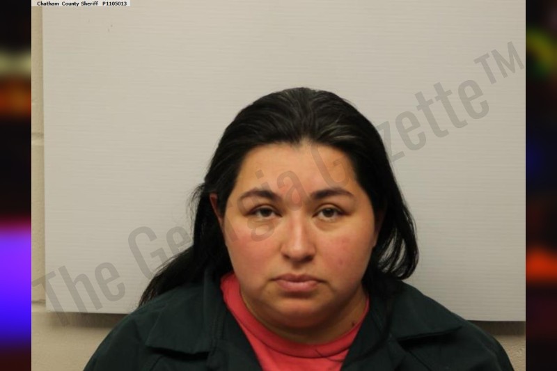 Elsa Vasquez — Chatham County Jail Bookings