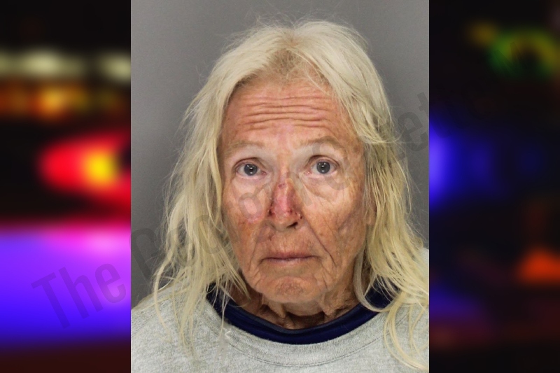 Kathlene Warren — Cobb County Jail Bookings