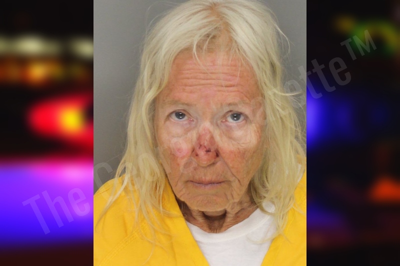 Kathlene Warren — Cobb County Jail Bookings