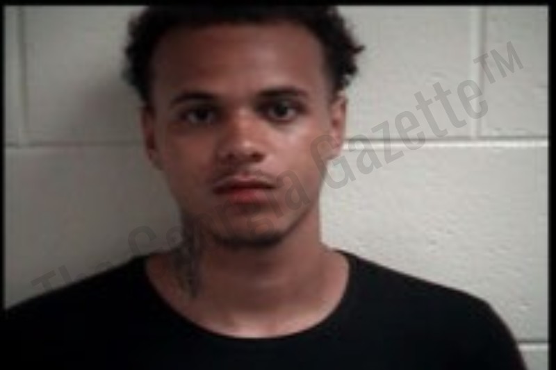 Aaron Williams — Henry County Jail Bookings