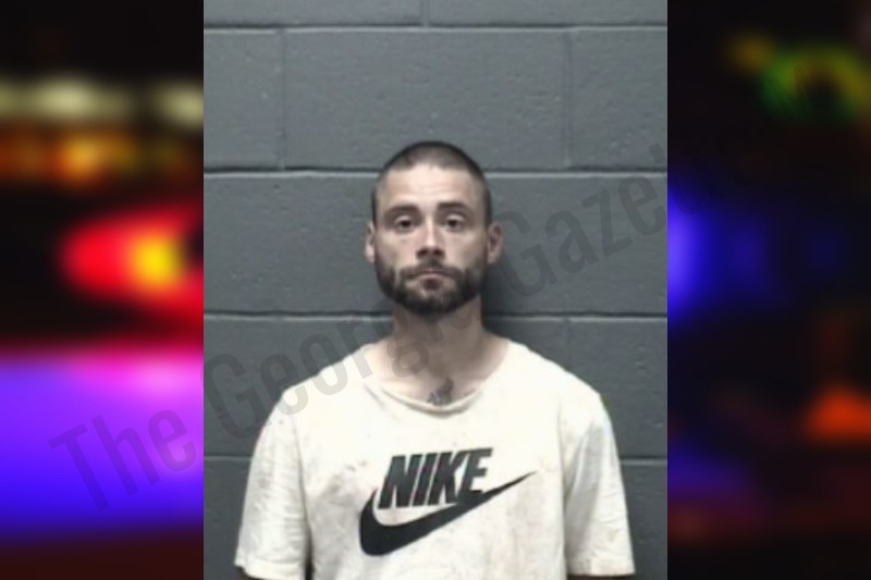 Morgan Wyatt — Forsyth County Jail Bookings
