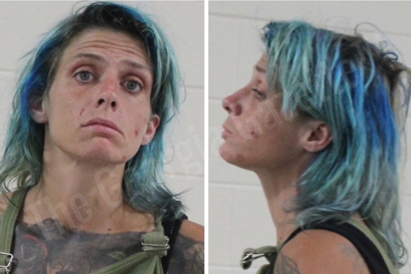 Emily Warner — Houston County Jail Bookings