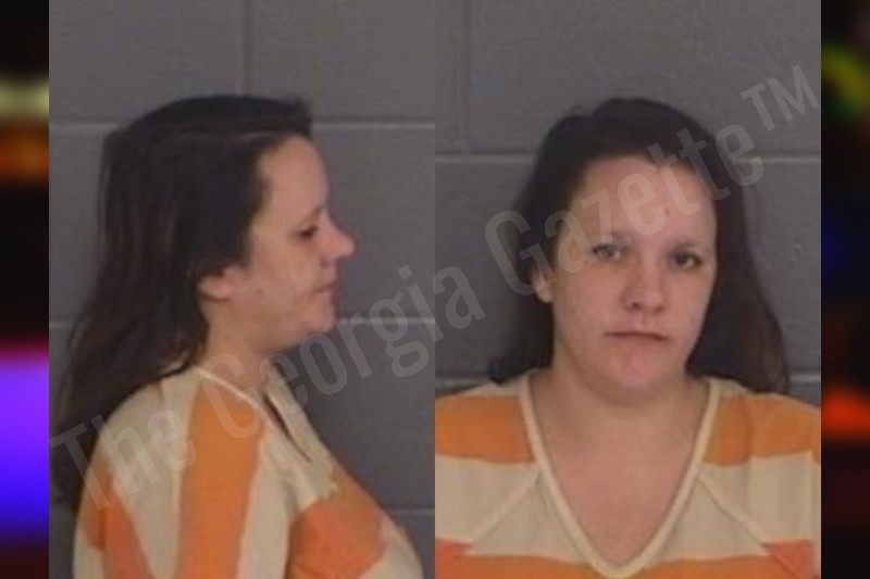 Chloe Watkins — Barrow County Jail Bookings
