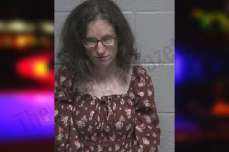 Jennifer Weinbach — Forsyth County Jail Bookings