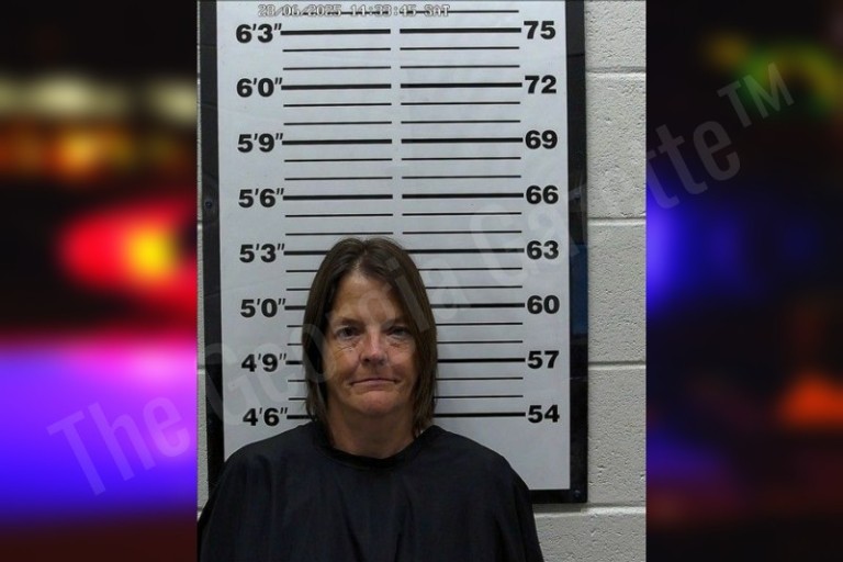 Annette Whetzel — Hart County Jail Bookings